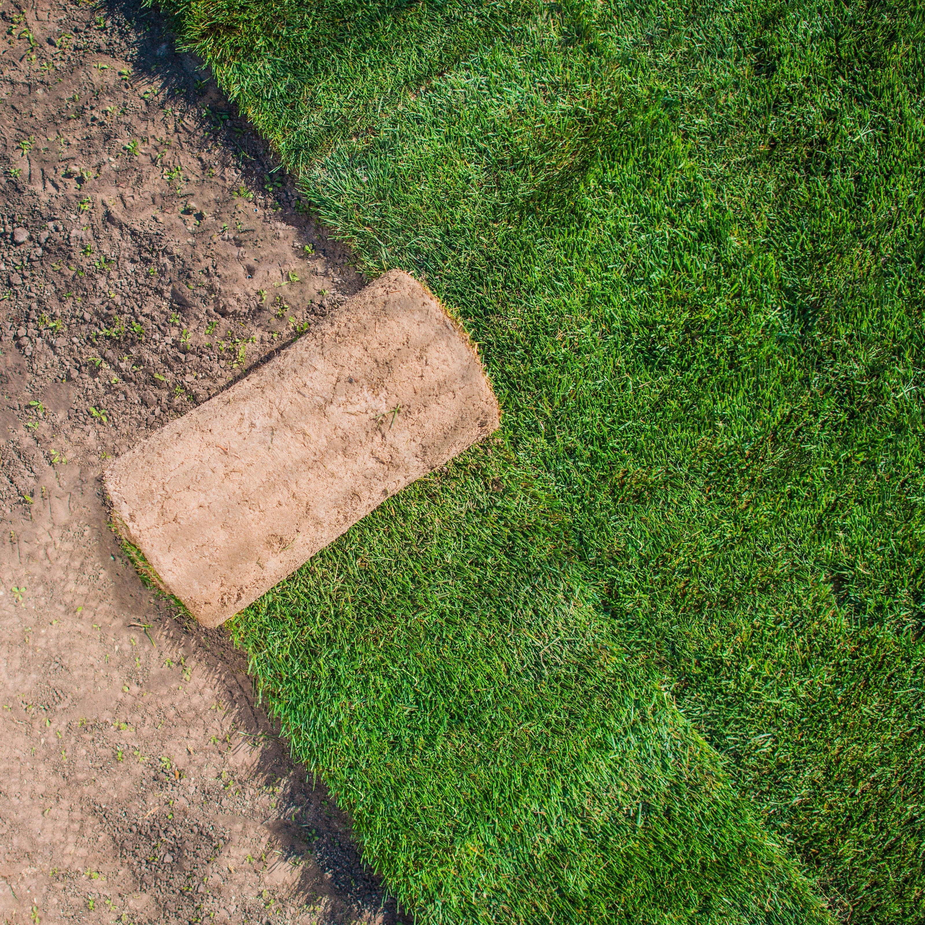Natural seeded & artificial grass – Slade's Garden and Building Supplies